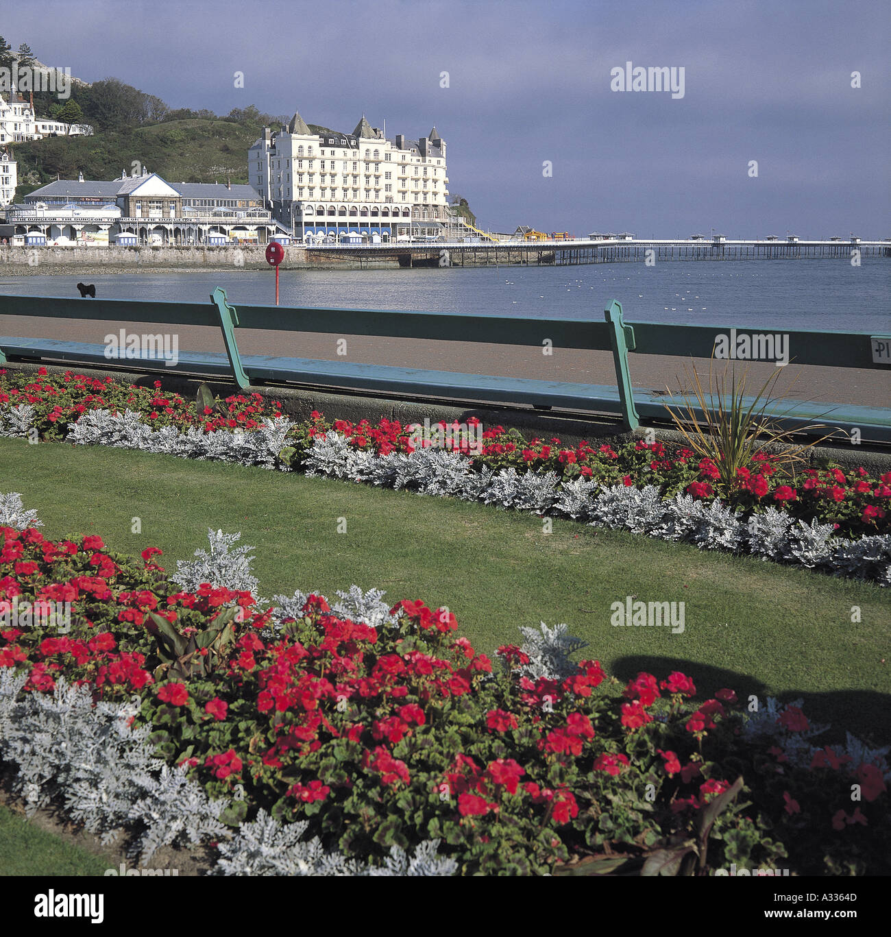 Llandudno gwynedd wales promenade hi-res stock photography and images ...