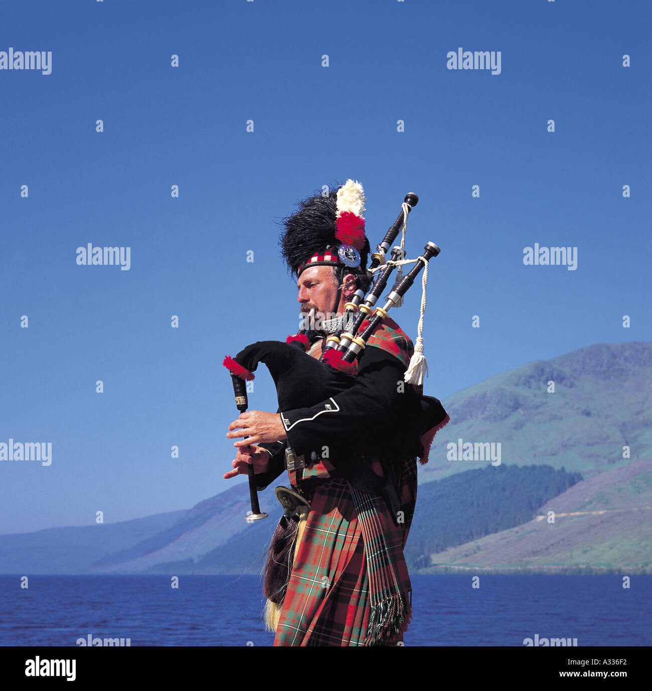 Piper the hi-res stock photography and images - Alamy