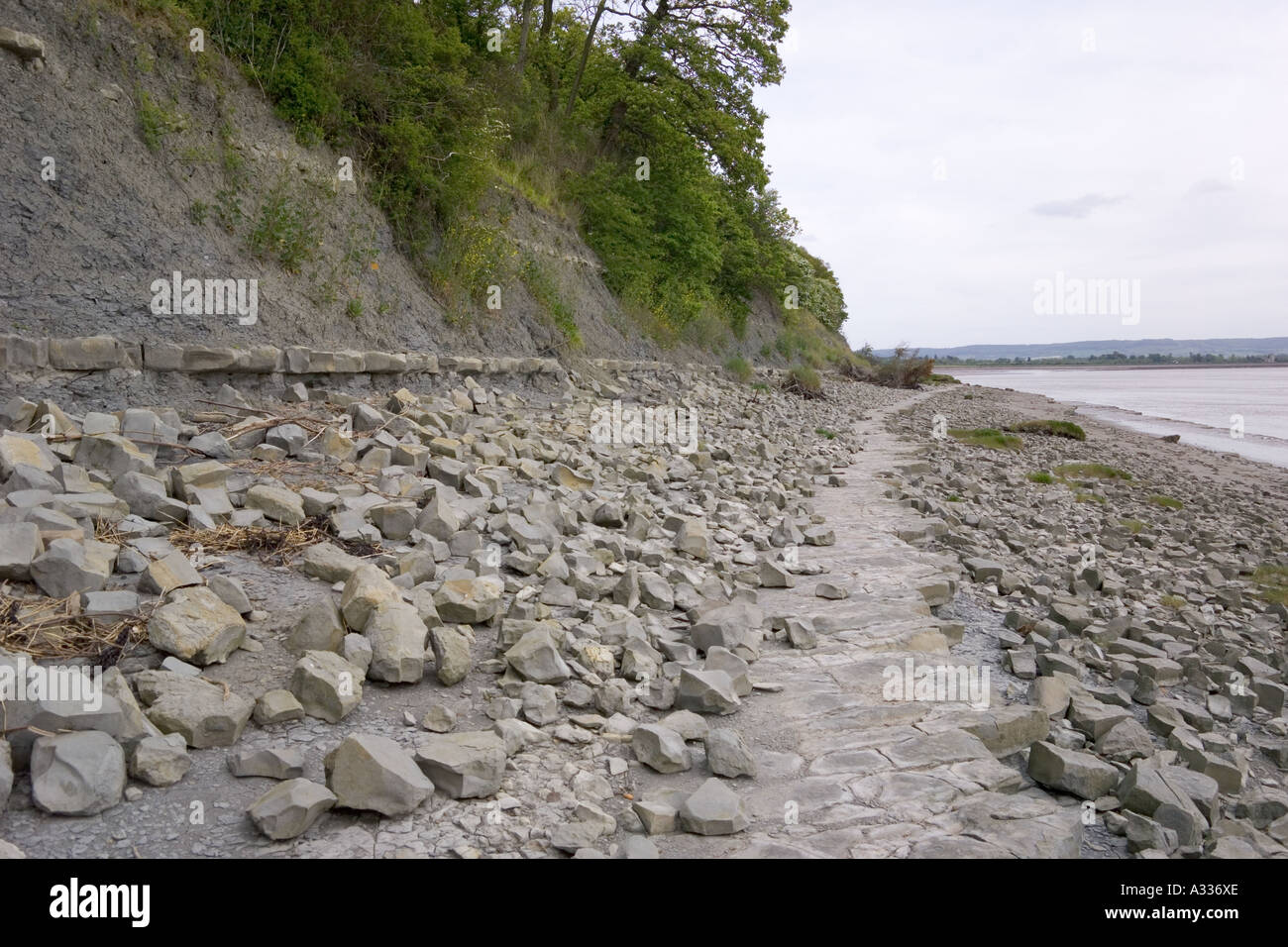 Fossil bearing rocks (Lower Lias clay) beside the River Severn at Hock ...