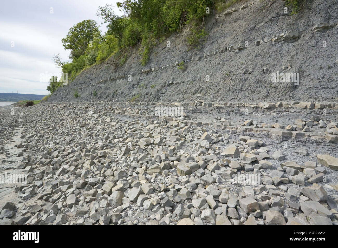 Fossil bearing rocks (Lower Lias clay) beside the River Severn at Hock ...