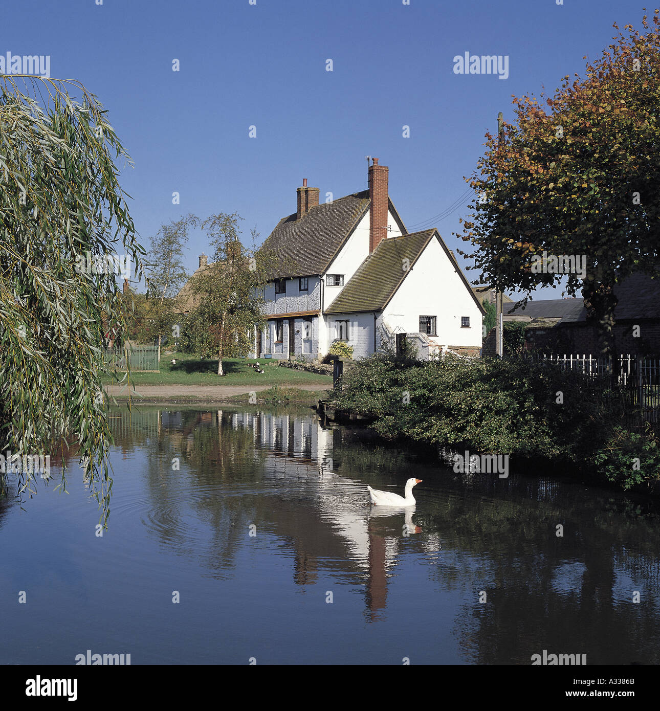 Childrey hi-res stock photography and images - Alamy