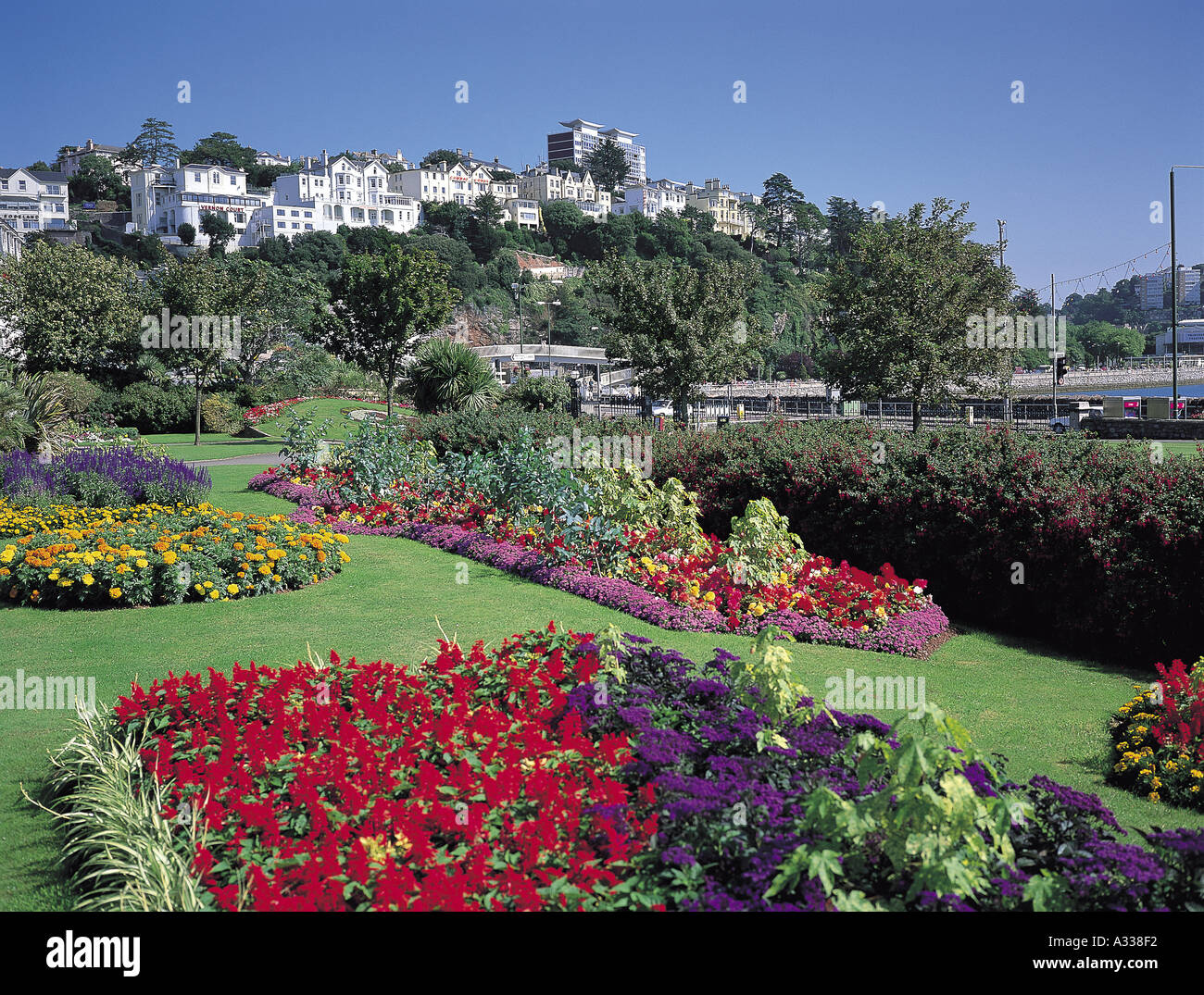 Torre abbey gardens hi-res stock photography and images - Alamy
