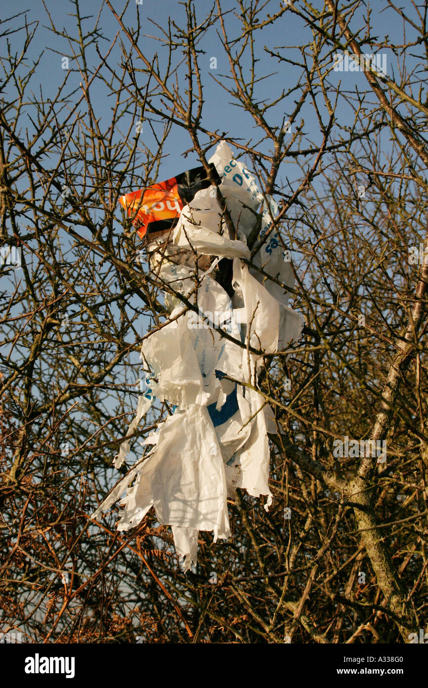Plastic bag in tree Stock Photo - Alamy