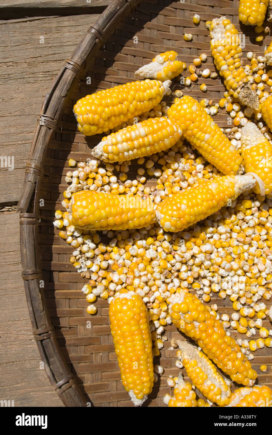 Just harvested corn dries in sun, Qingkou Village, Yuanyan County ...