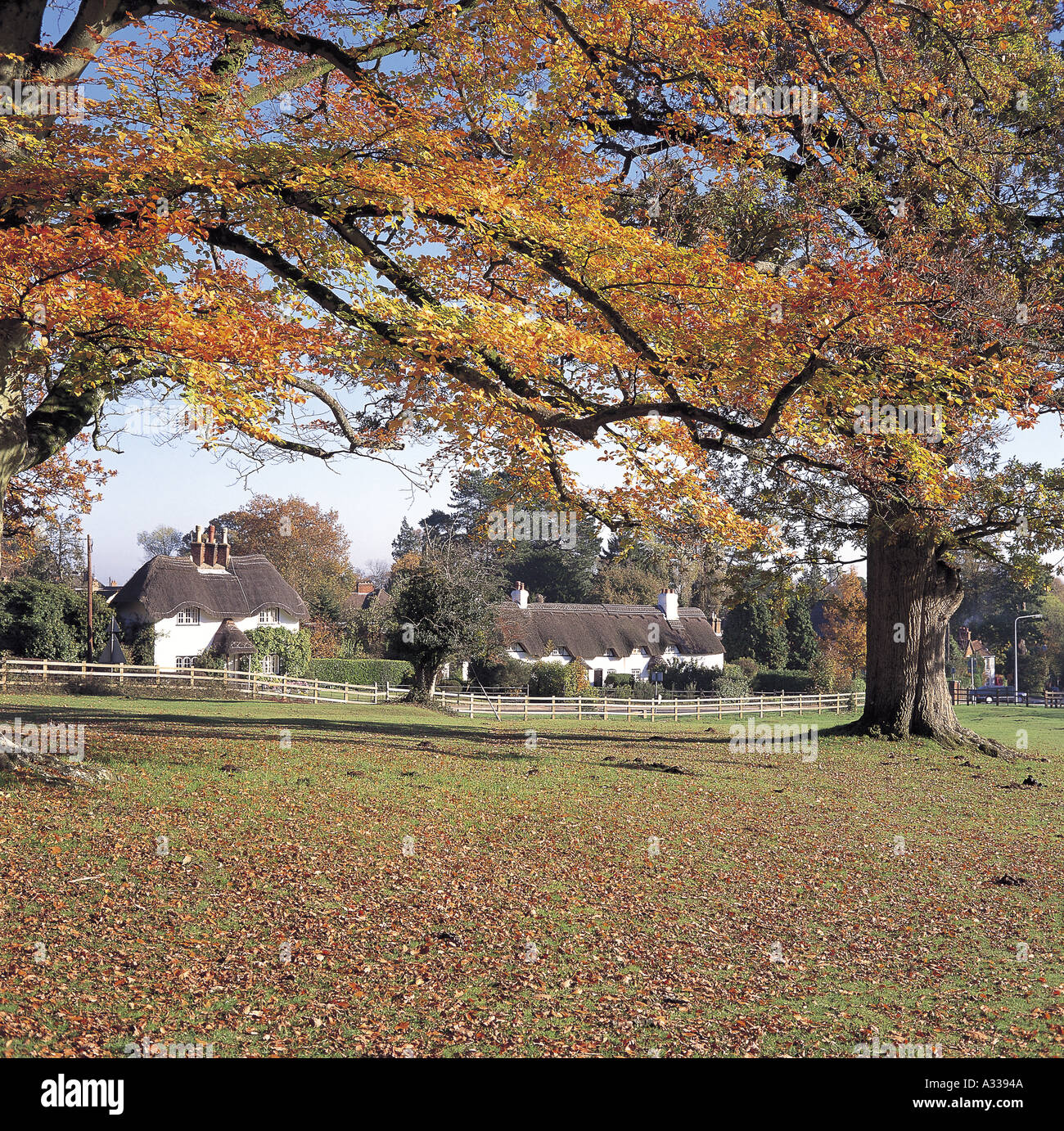 At lyndhurst hi-res stock photography and images - Alamy