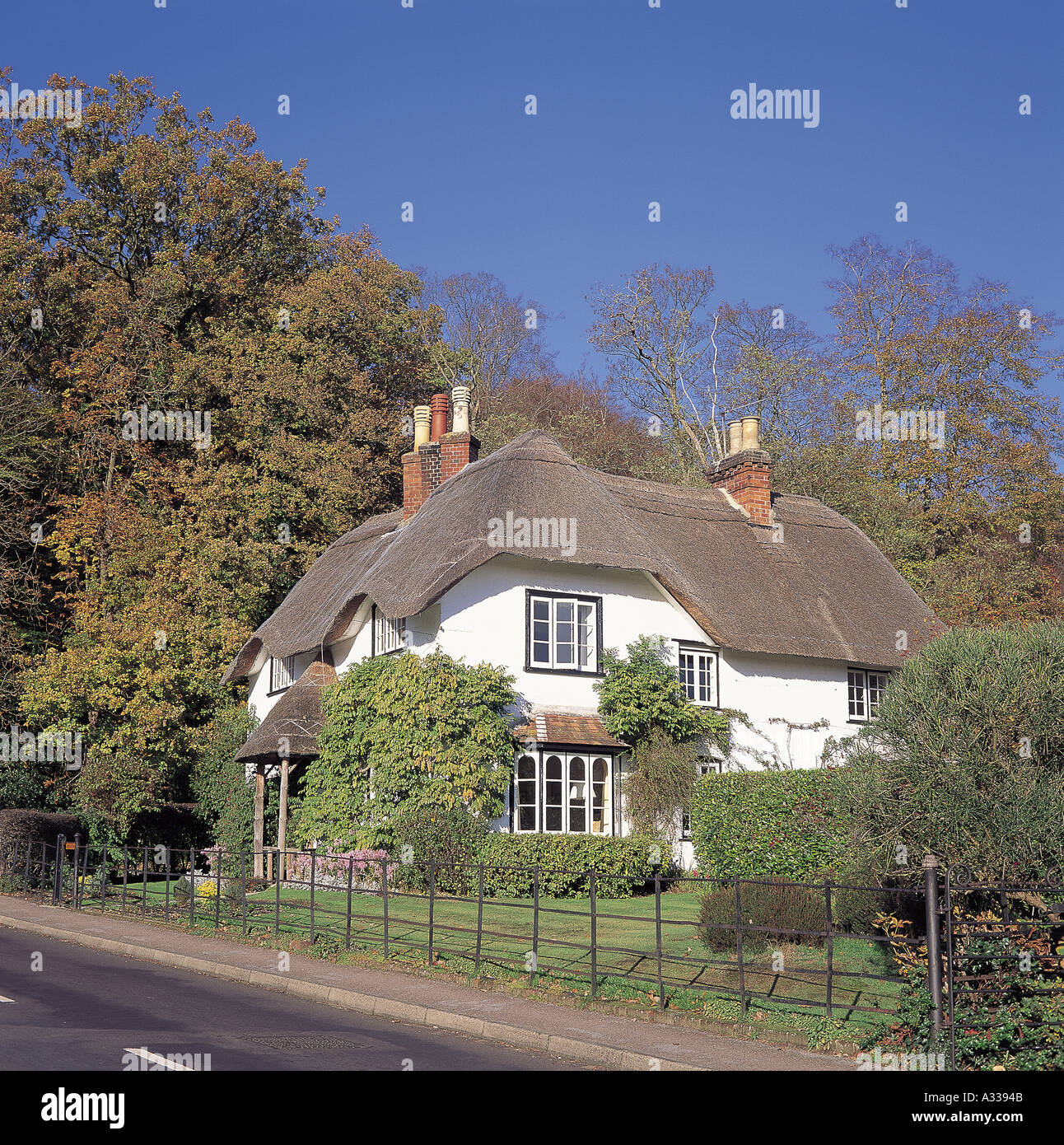 At lyndhurst hi-res stock photography and images - Alamy