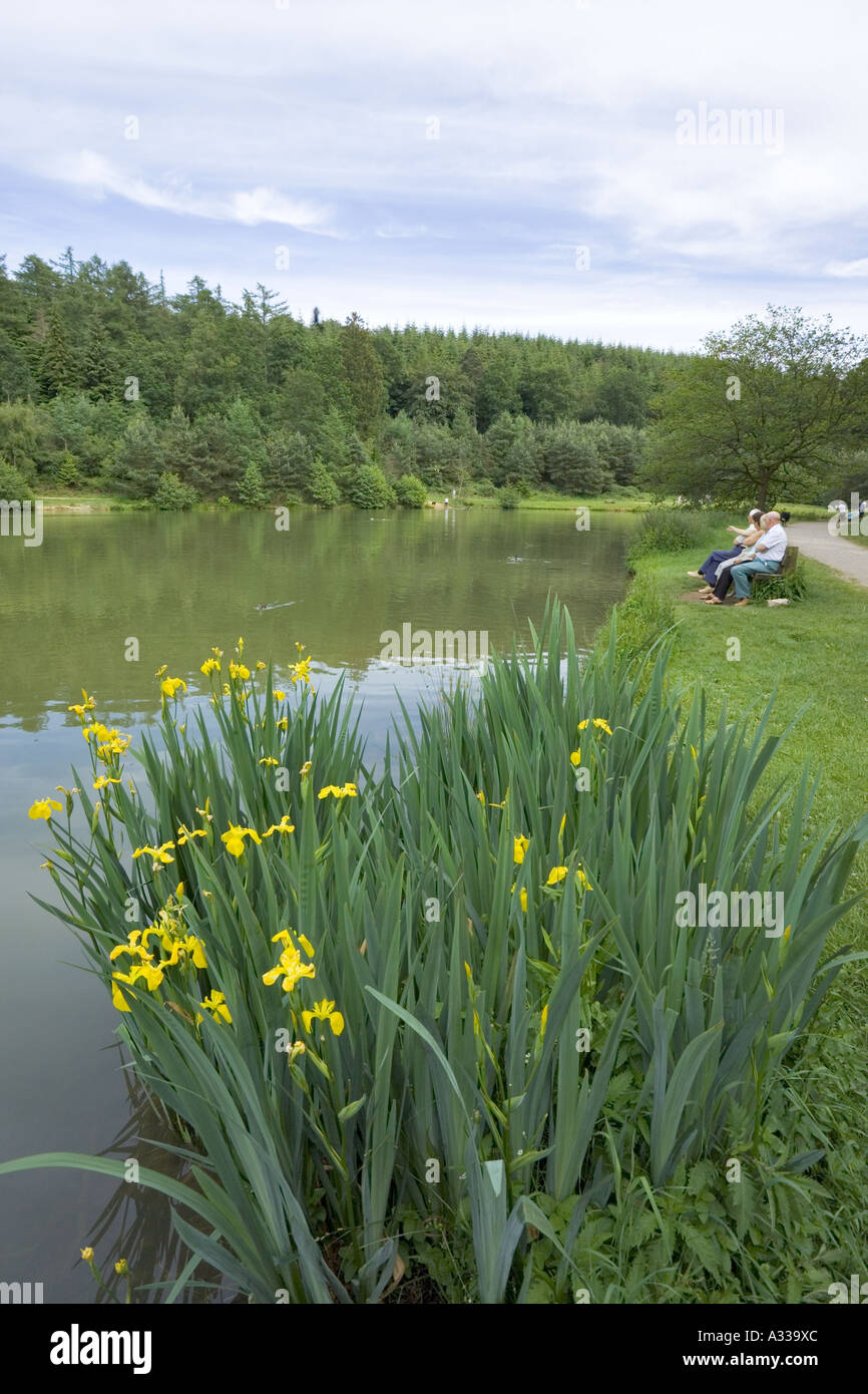 Gloucestershire england mallards pike lake hi-res stock photography and ...