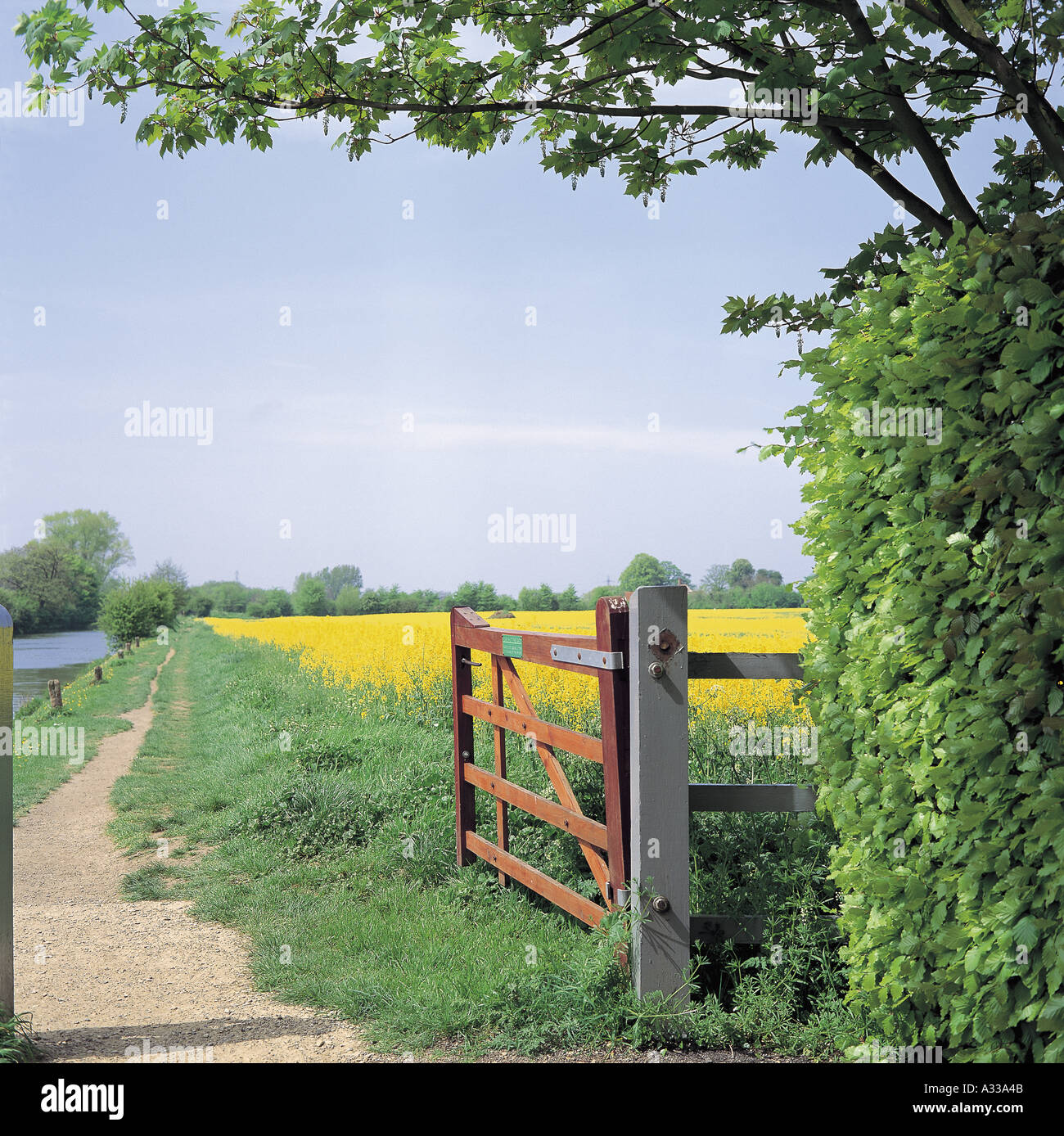 River Thames at Culham Stock Photo - Alamy