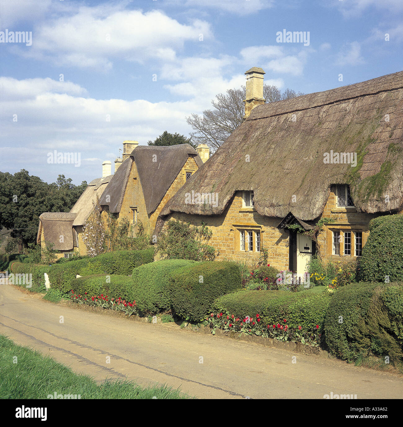 Thatched Cottages at Great Tew Stock Photo - Alamy