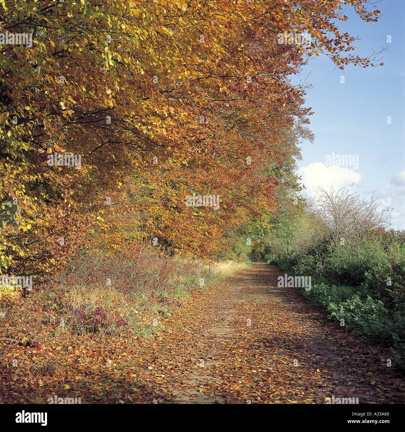 Goring reading hi-res stock photography and images - Alamy