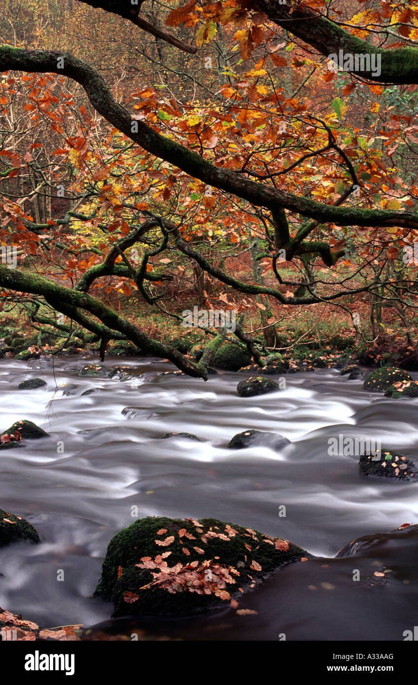 Autumn "River Rothay", between Grasmere and Rydal Water "Lake District ...