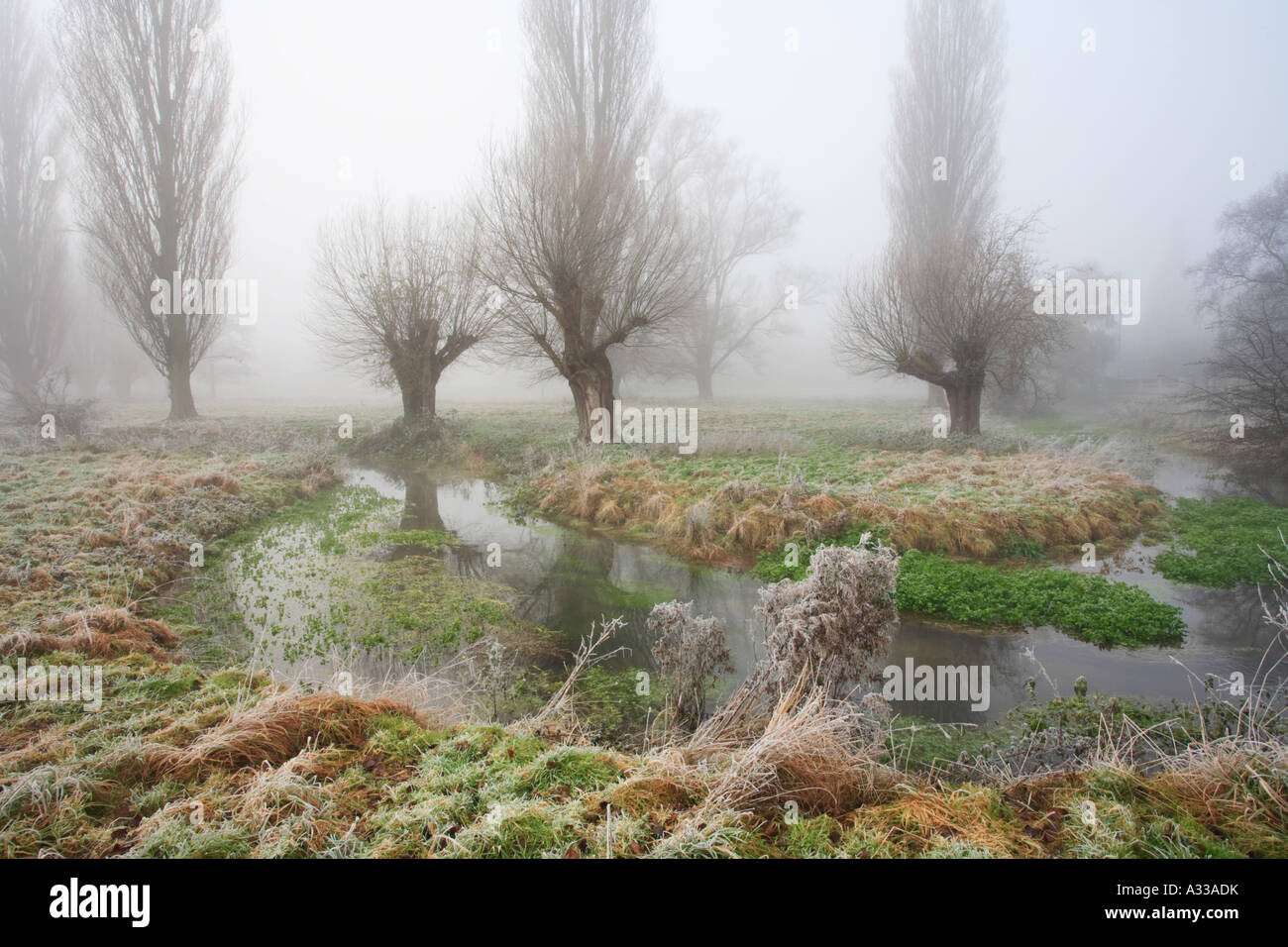 Fen cuaseway hi-res stock photography and images - Alamy