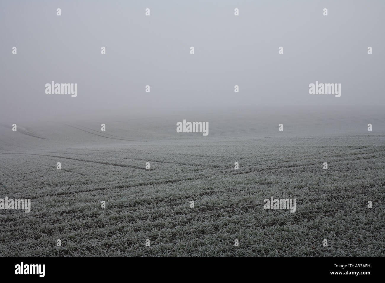 Frost on field hi-res stock photography and images - Alamy