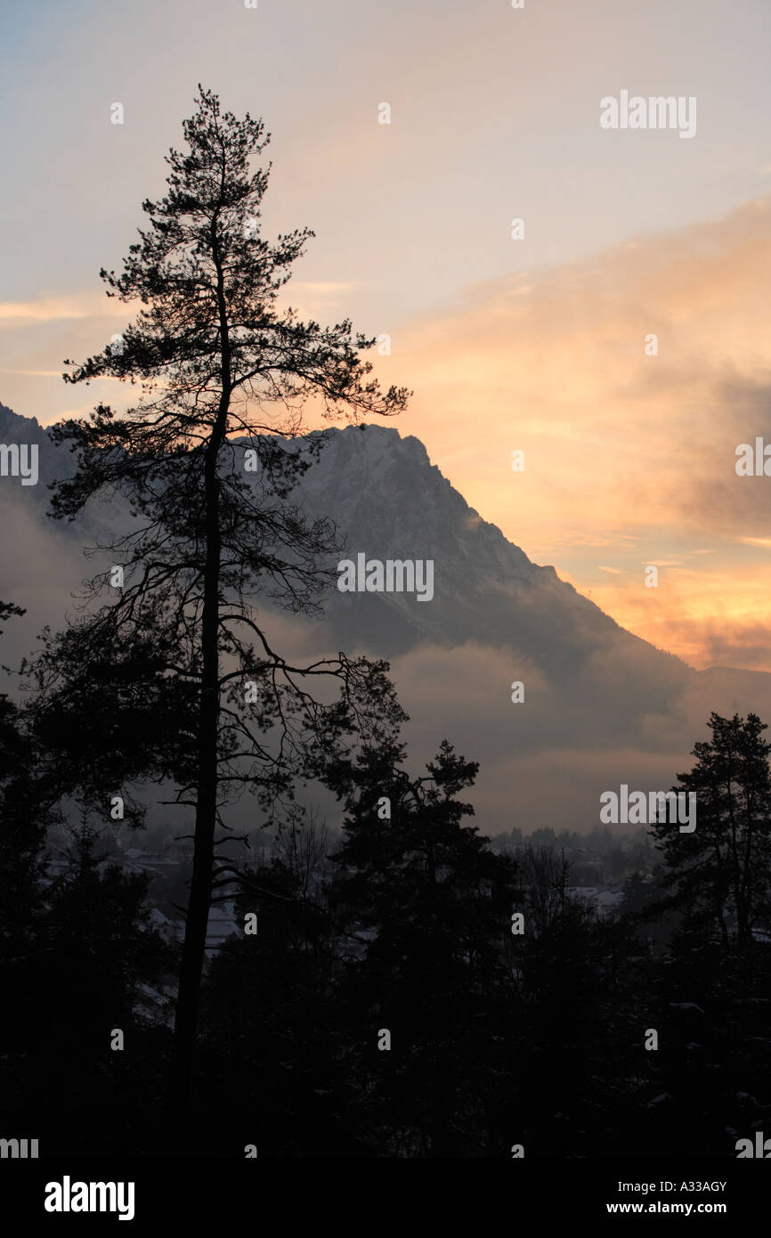 Pine tree and "Zugspitze Germany" sunset Stock Photo - Alamy
