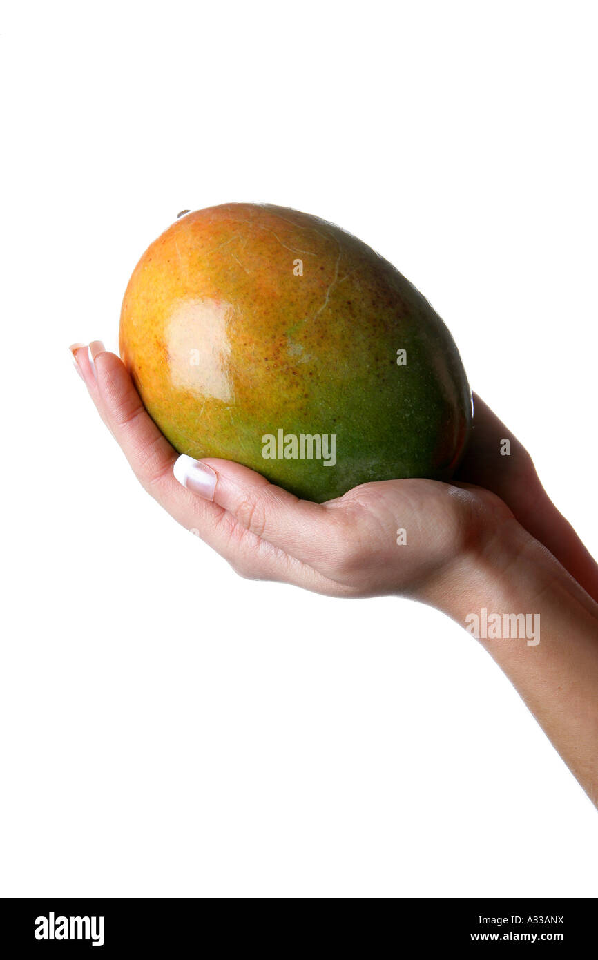 Woman Holding a Mango Model Released Stock Photo - Alamy