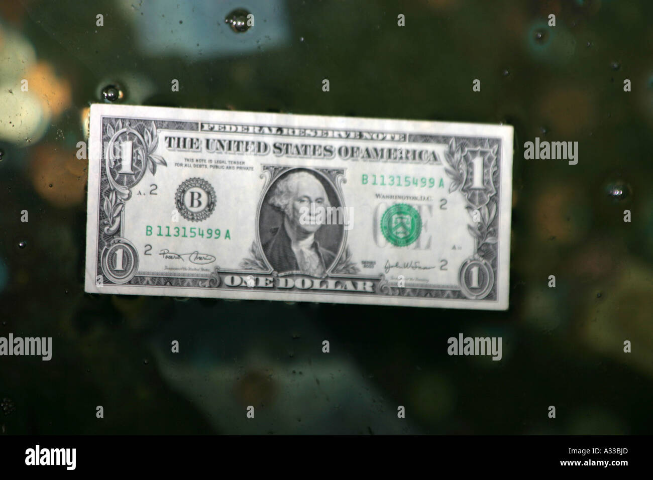 A DOLLAR BILL FLOATING ON WATER Stock Photo - Alamy