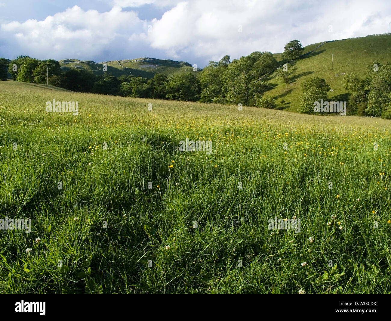 Meadow in Malham Yorkshire Dales Stock Photo - Alamy