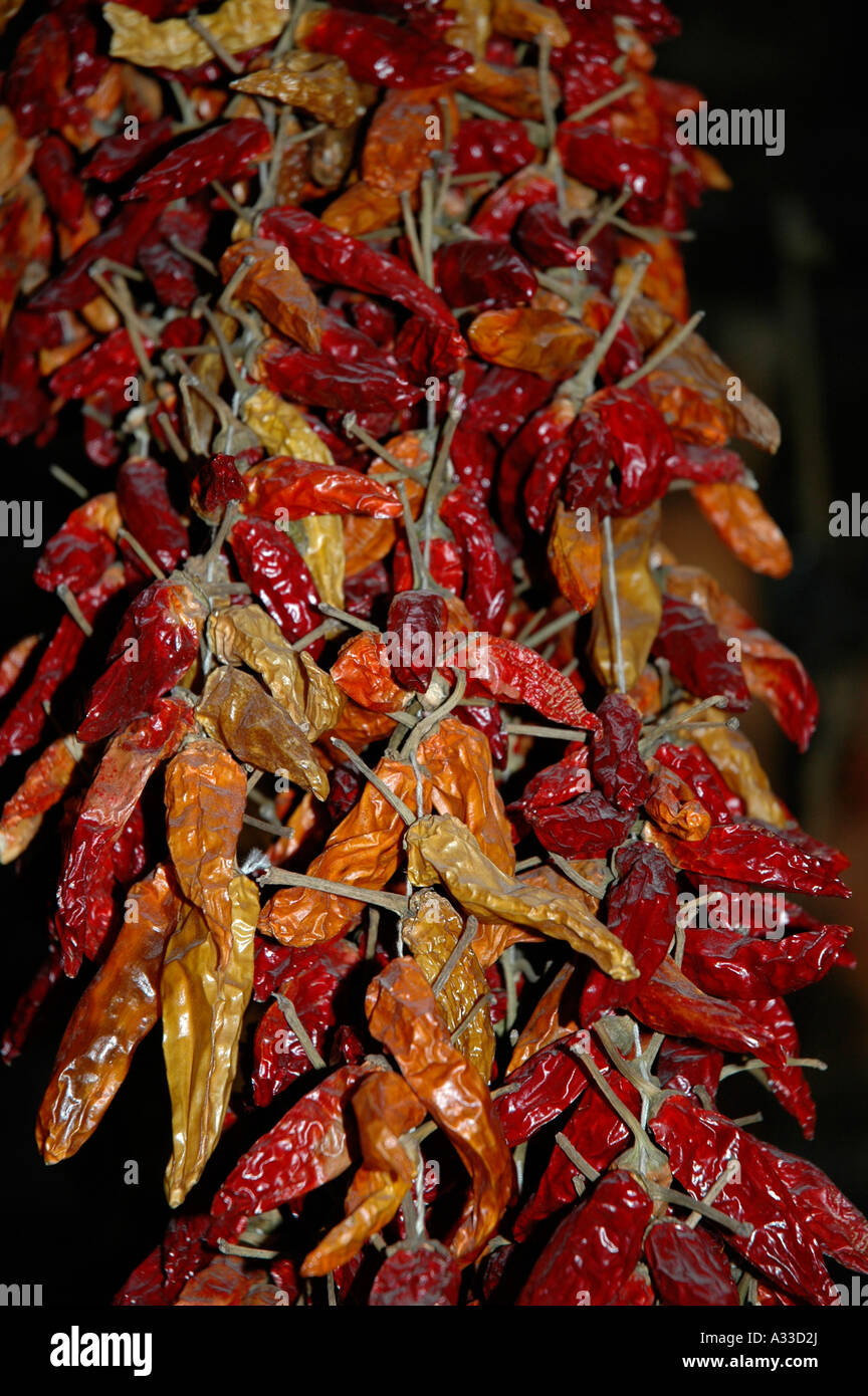 Dried Chillies Siena Italy Stock Photo - Alamy