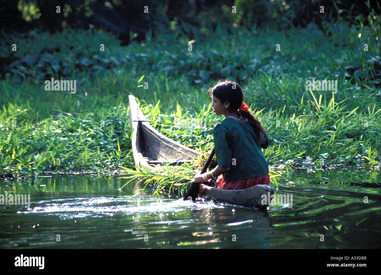 Backwater boat Kerala India Stock Photo - Alamy
