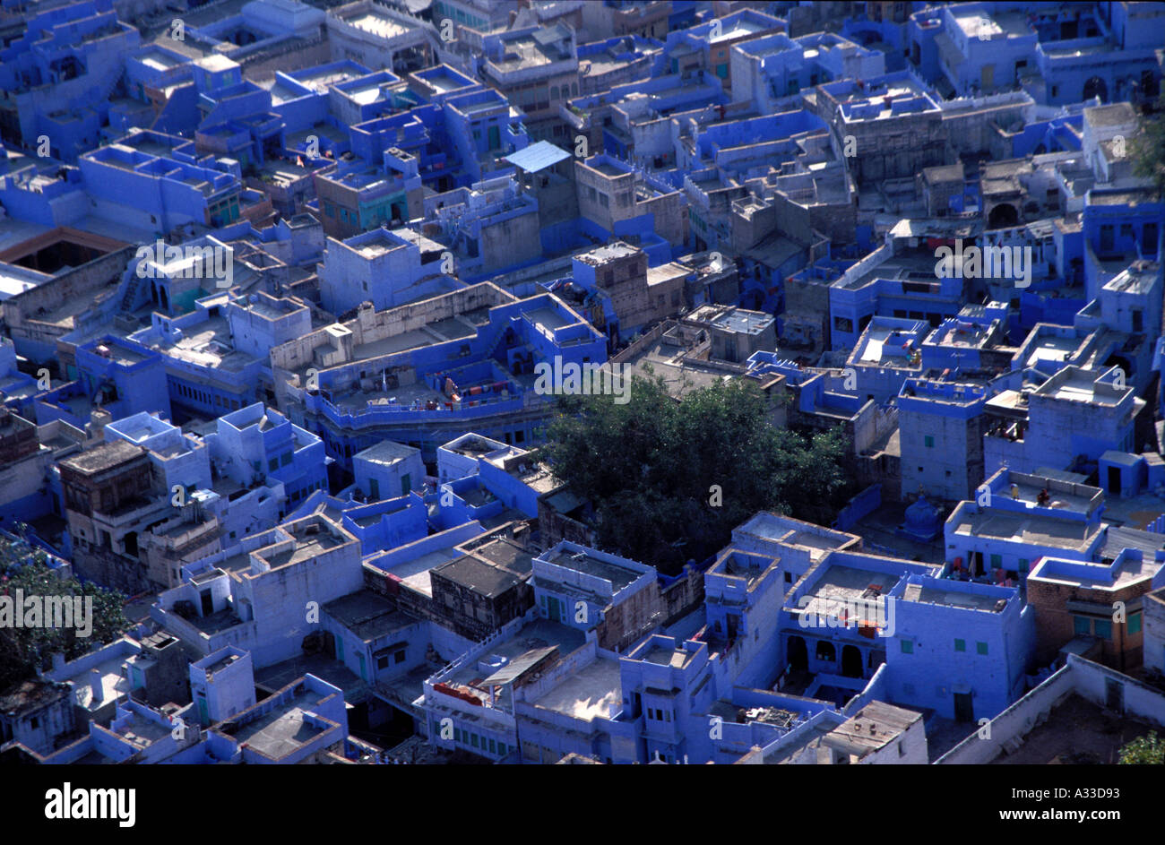 Blue Brahmin houses Jodhpur Rajasthan India Stock Photo - Alamy