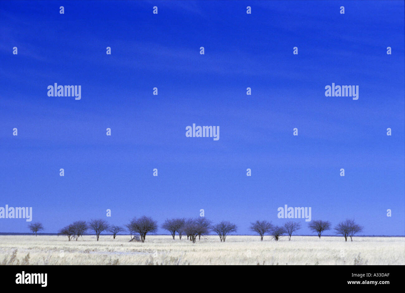 Salt pan Etosha Namibia Stock Photo - Alamy
