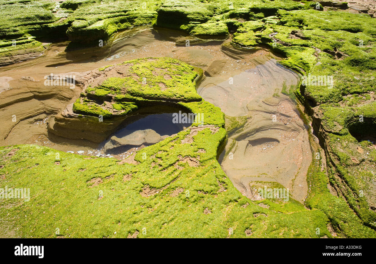 rock-pools wilderness beach Stock Photo - Alamy
