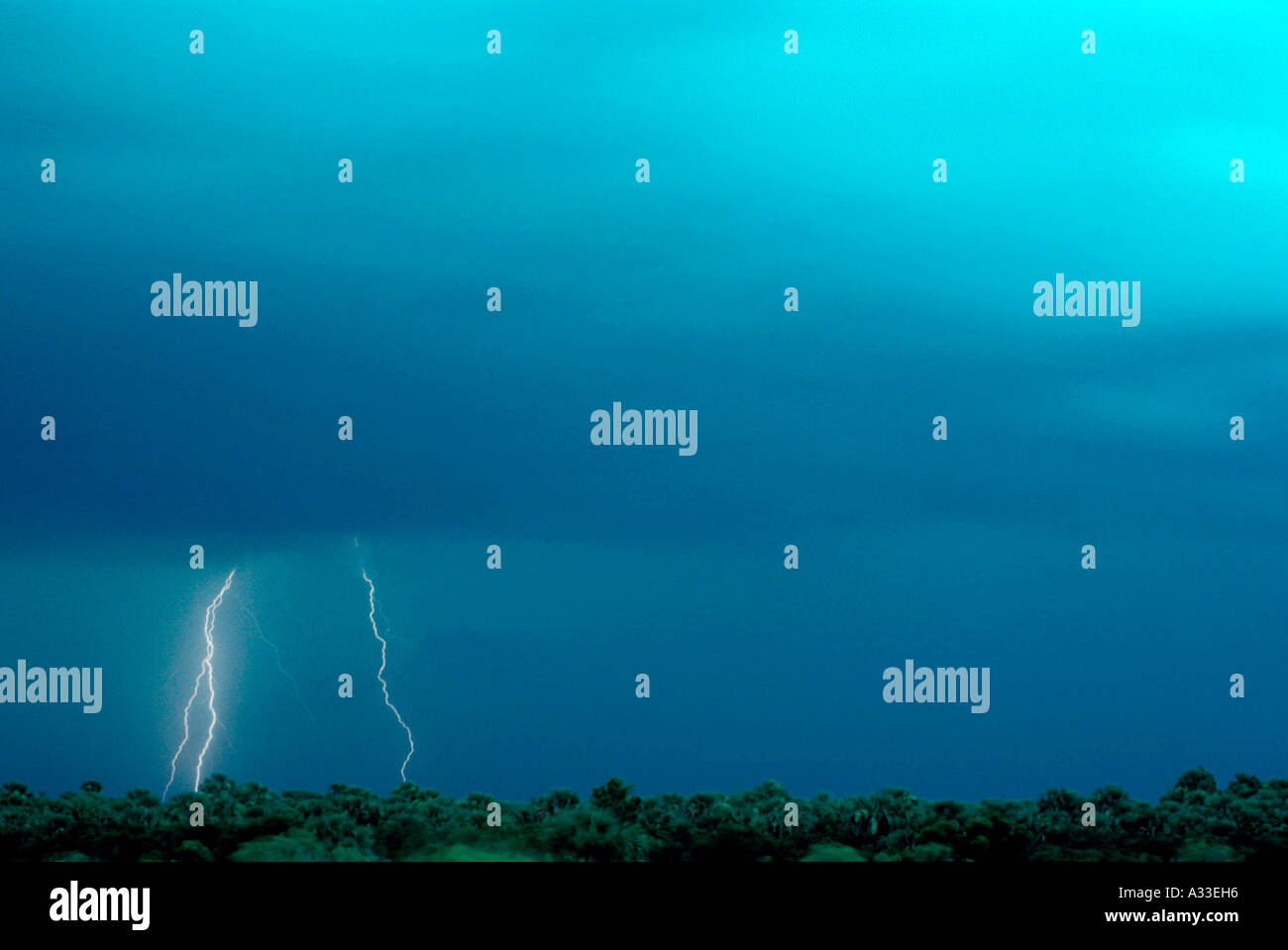 Lightning weather Florida Stock Photo - Alamy