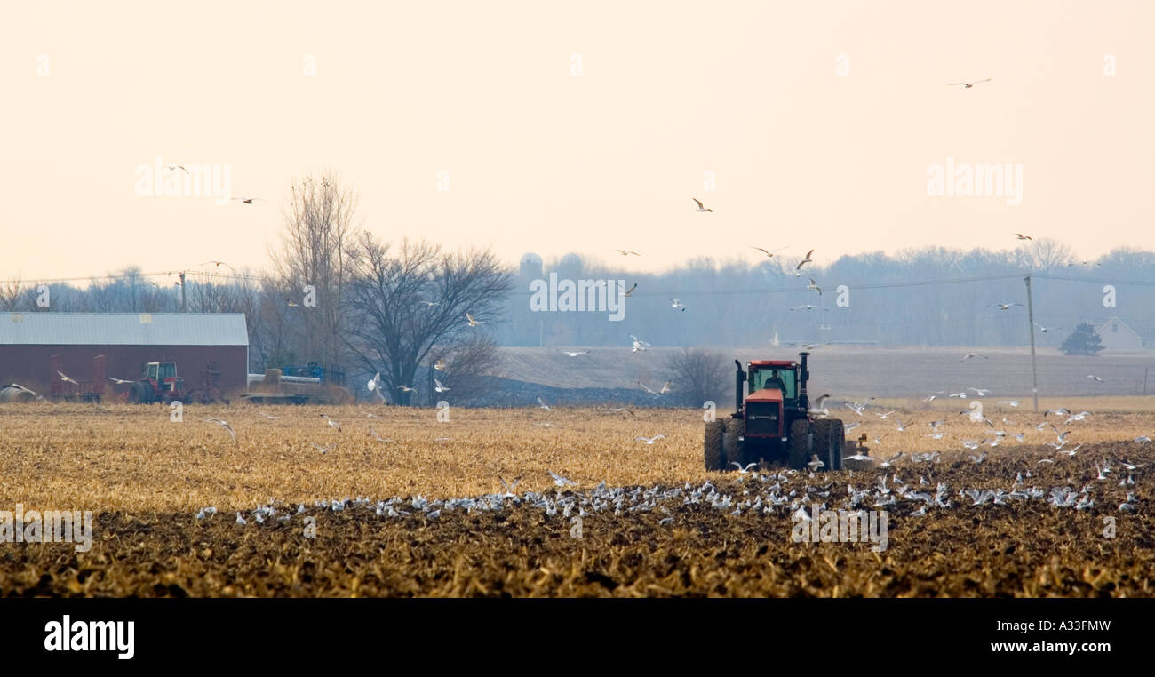 Chisel Plow High Resolution Stock Photography and Images - Alamy