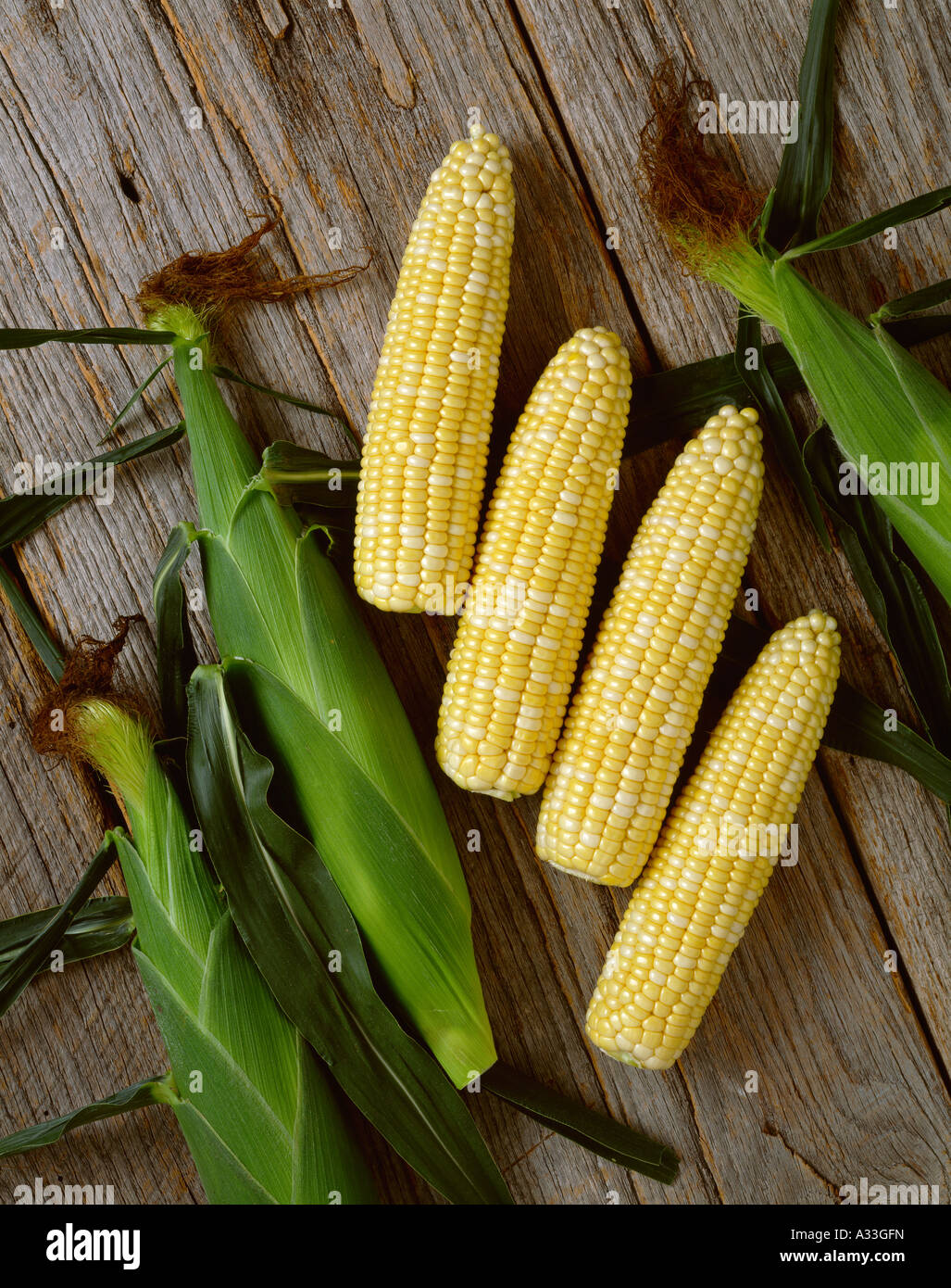 Agriculture - Ears of sweet bi-colored corn on a barn wood surface, in ...