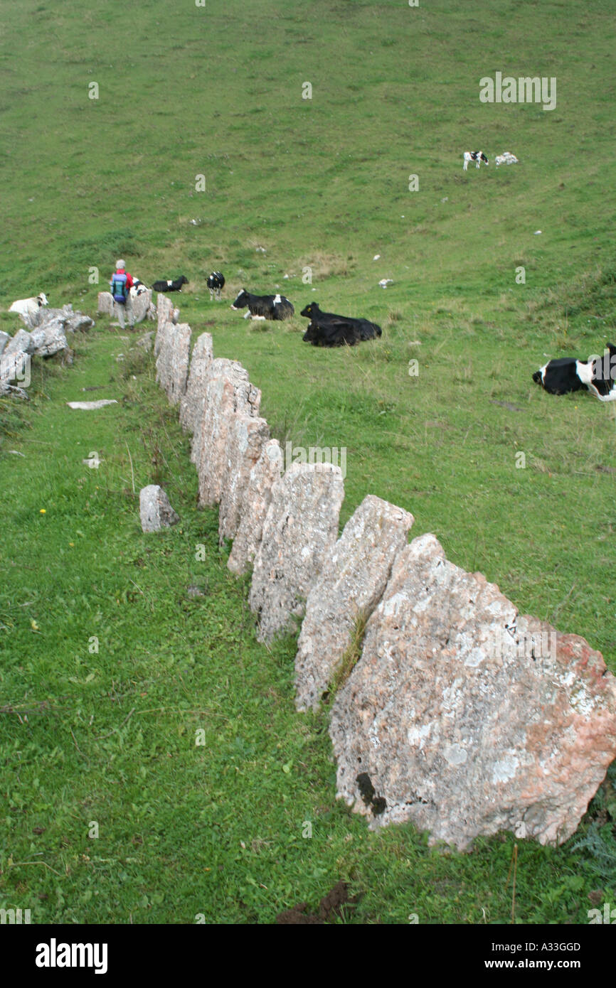 Slabs of rock rich in fossiled shells used for field markers and fences ...