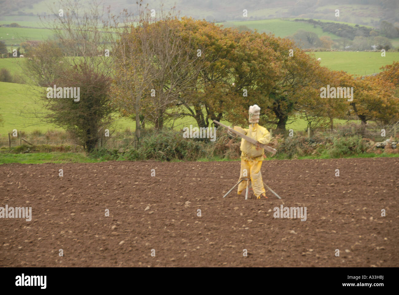 Scarecrow in Field Agriculture Environment Wales Stock Photo - Alamy