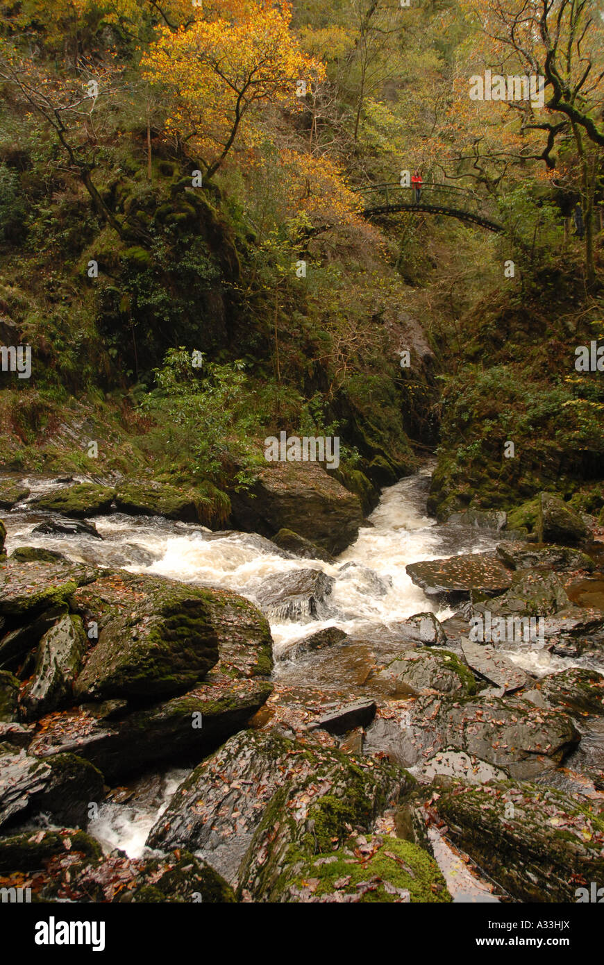 Devil's bridge mynach falls hi-res stock photography and images - Alamy