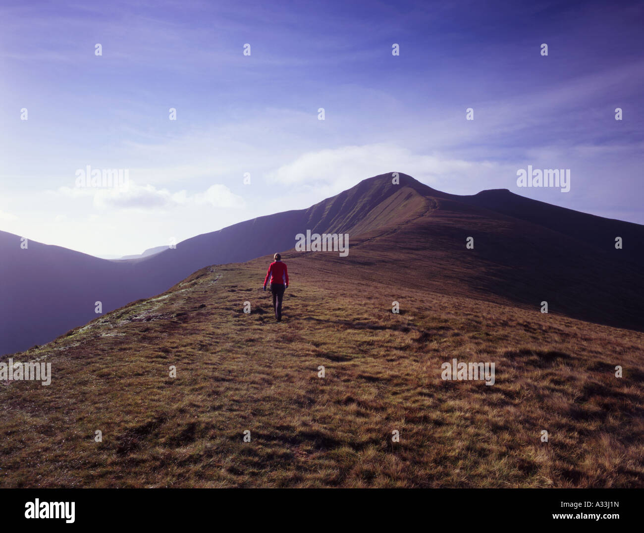 Walker approaching the summit of Pen y fan the highest peak in the ...