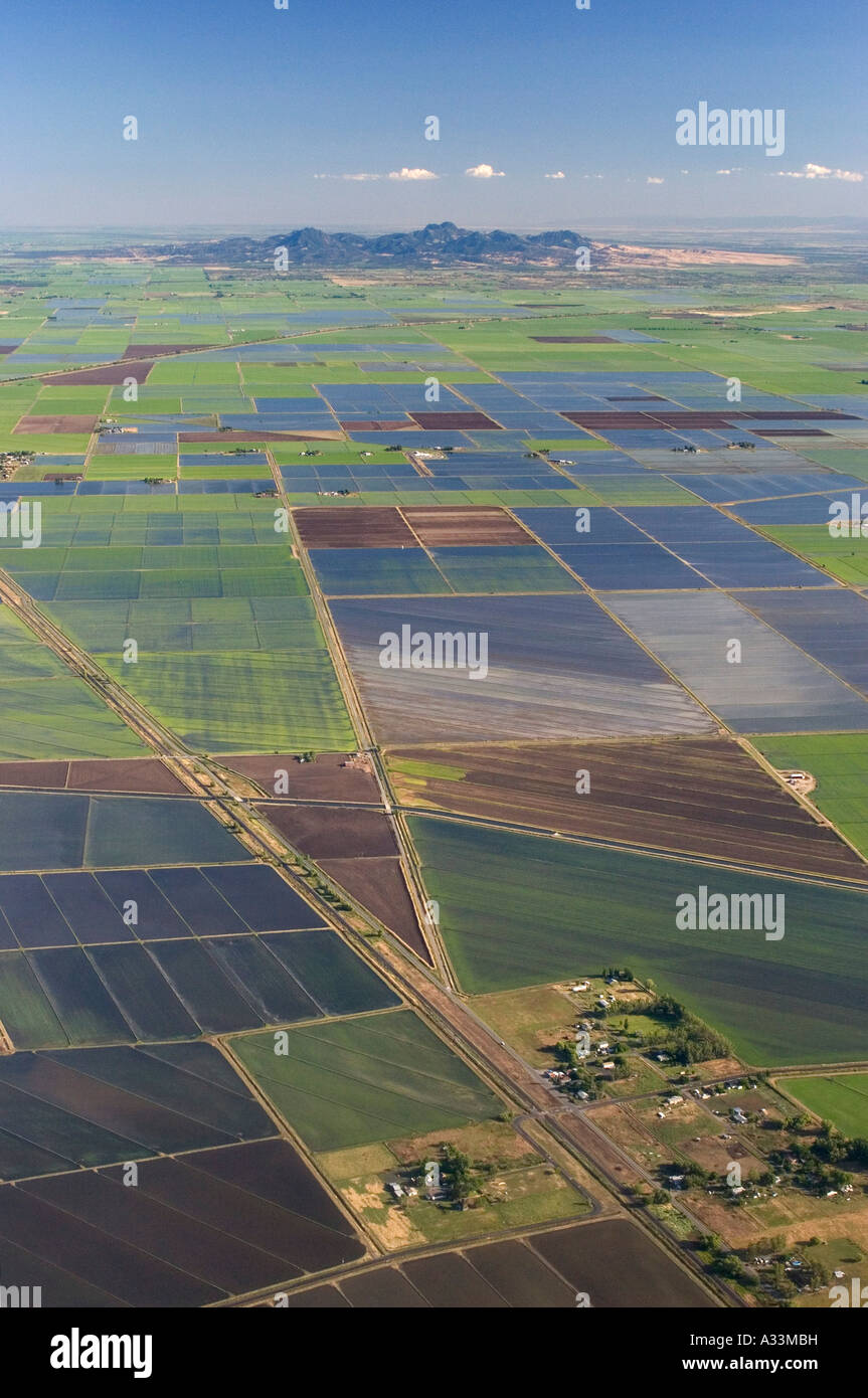 California rice field aerial hi-res stock photography and images - Alamy
