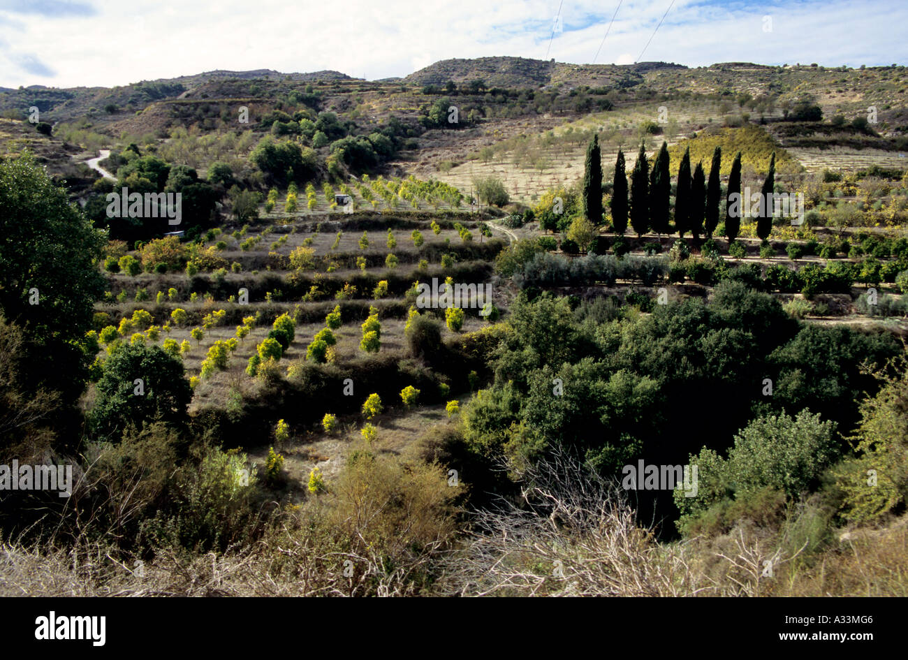 Agricultural fields in Cyprus Stock Photo - Alamy