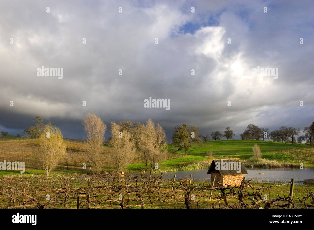 Sierra foothills vineyards california hi-res stock photography and ...