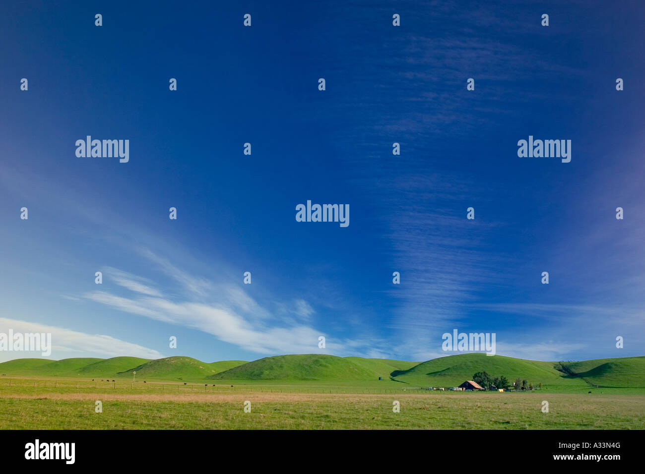 Lonely ranch in the Potrero Hills of the Sacramento River Delta ...