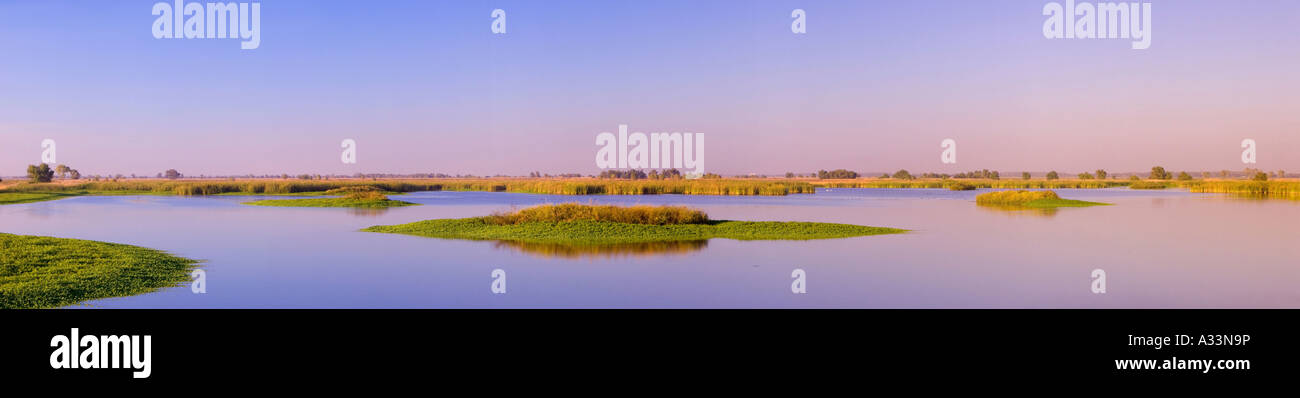 Panorama of the wetlands of the Delevan National Wildlife Refuge ...