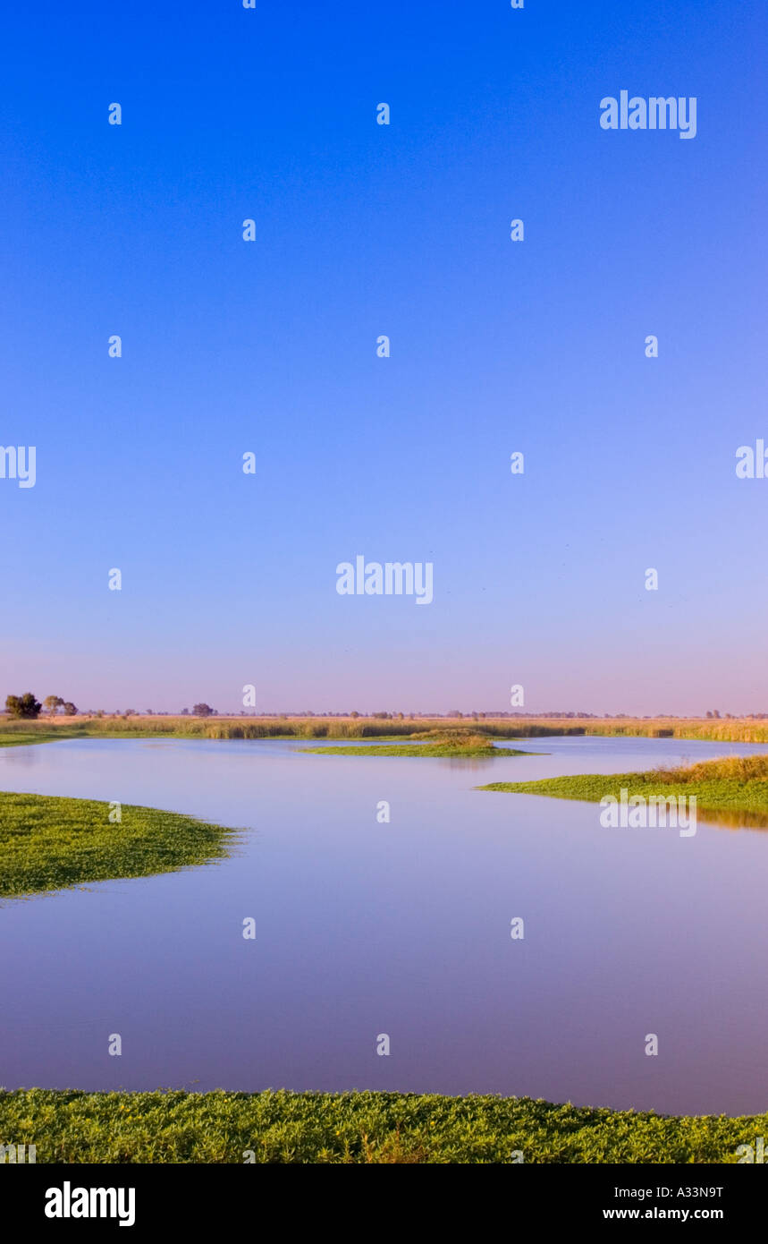 Wetlands in the Delevan National Wildlife Refuge, Sacramento Valley ...