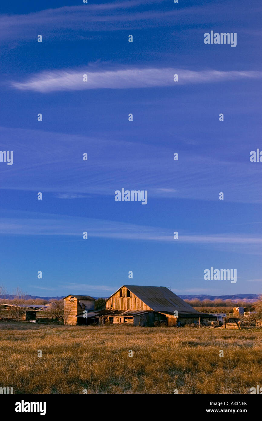 Willows california hi-res stock photography and images - Alamy