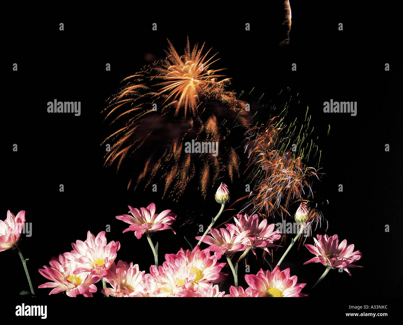 Firework powder hi-res stock photography and images - Alamy