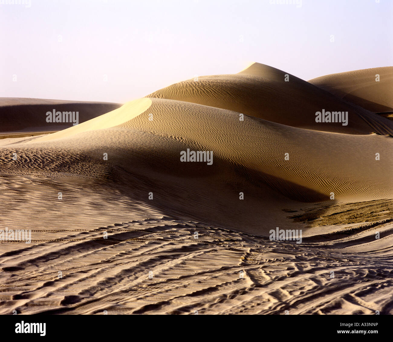 DESERT SAFARI IN QATAR Stock Photo - Alamy