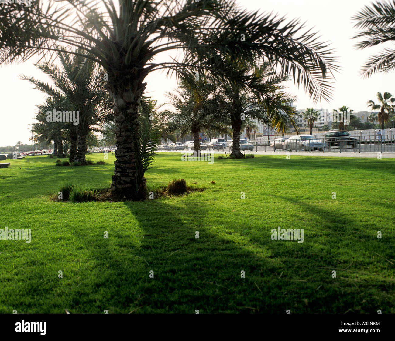A PARK IN DOHA QATAR Stock Photo - Alamy