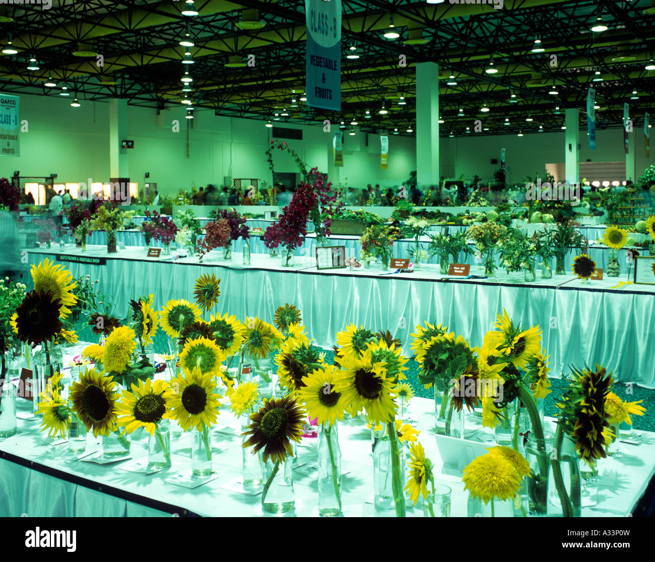EXHIBITION OF FLOWERS AT INTERNATIONAL CONVENTION CENTRE DOHA QATAR ...