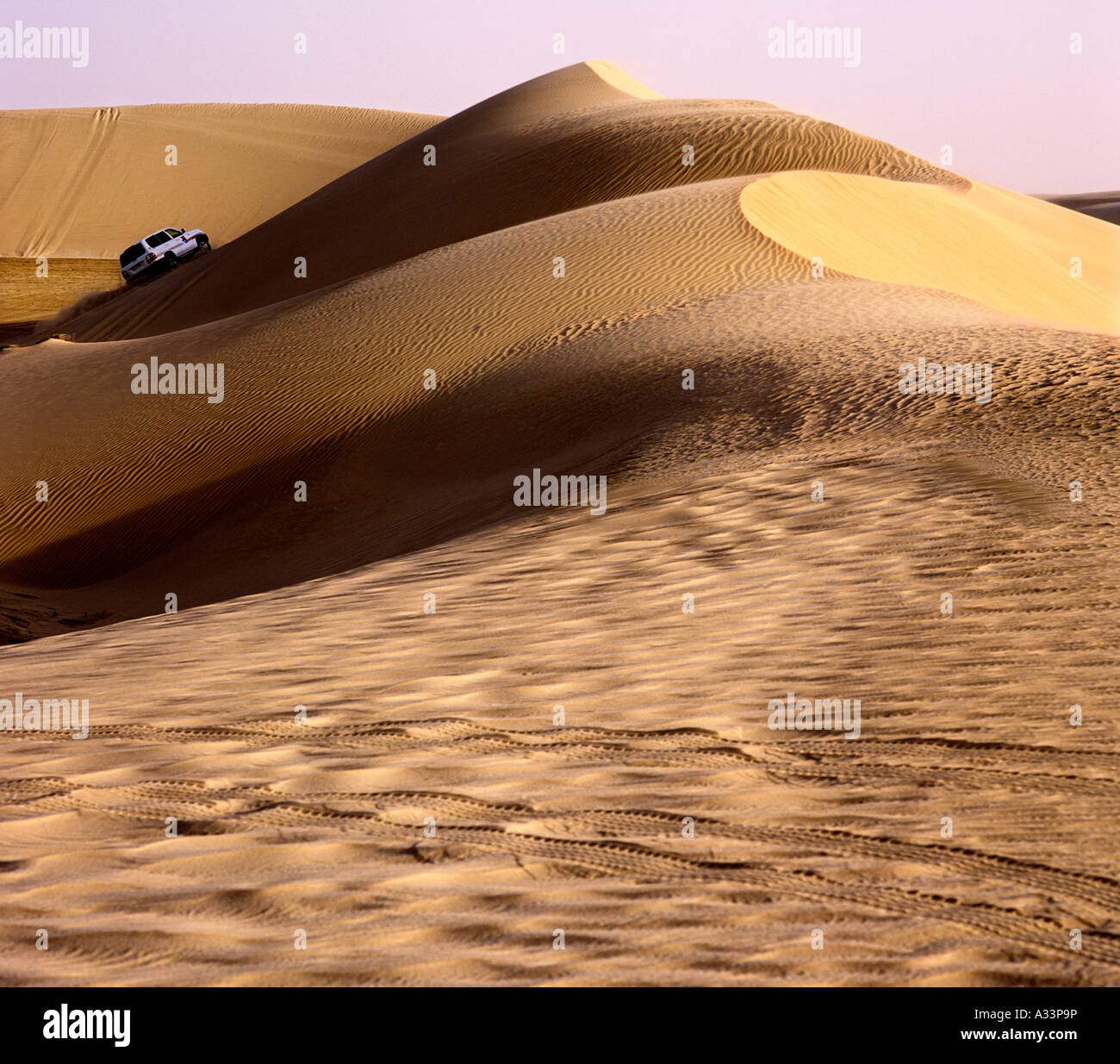 DESERT SAFARI IN QATAR Stock Photo - Alamy