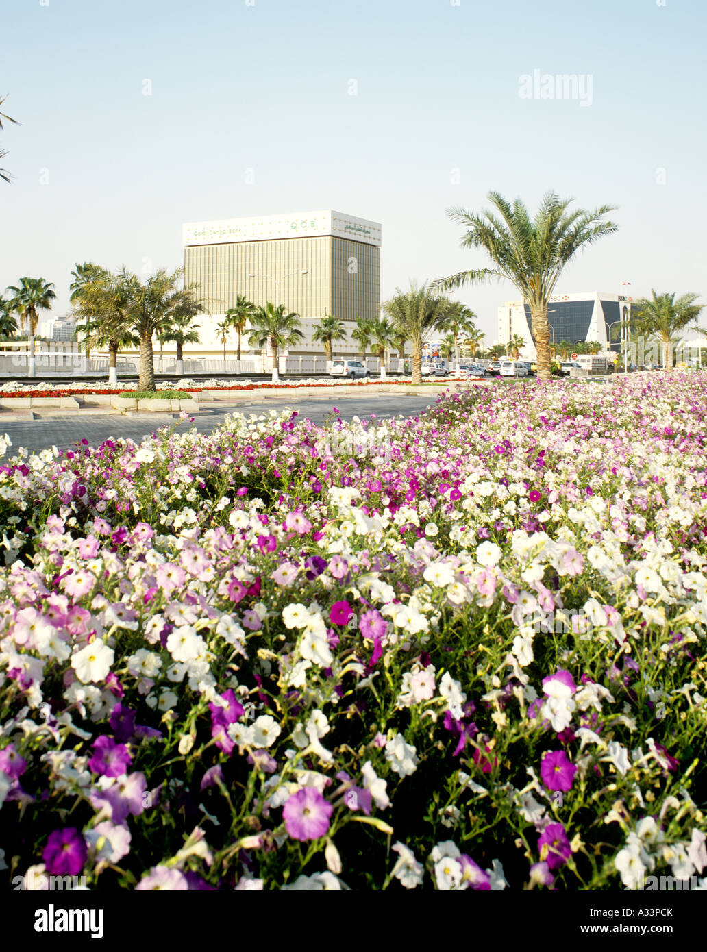 A GARDEN BY THE ROADSIDE IN DOHA QATAR Stock Photo - Alamy