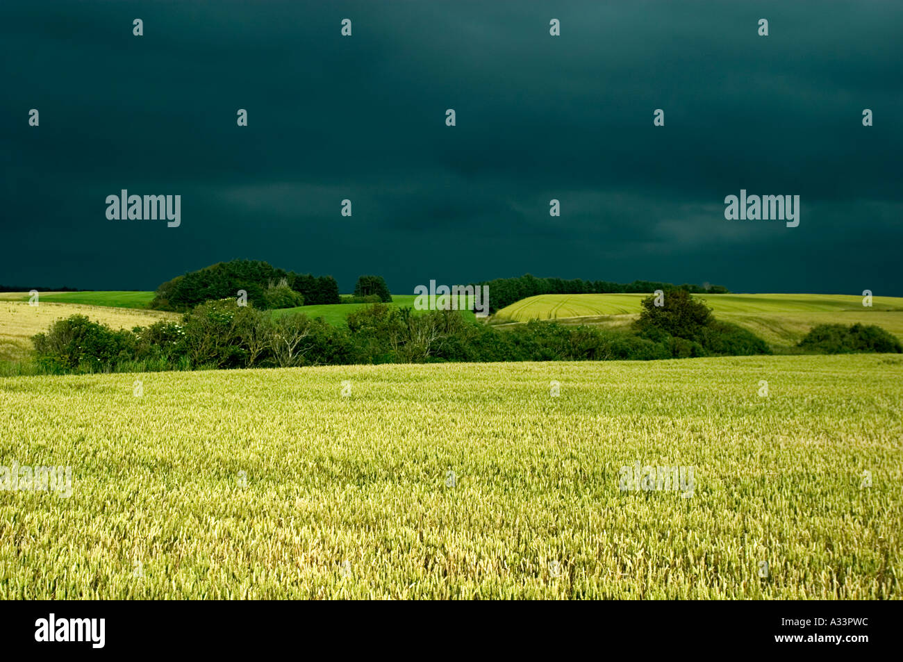 Thunder storm coming. Northern Jutland Denmark Stock Photo - Alamy