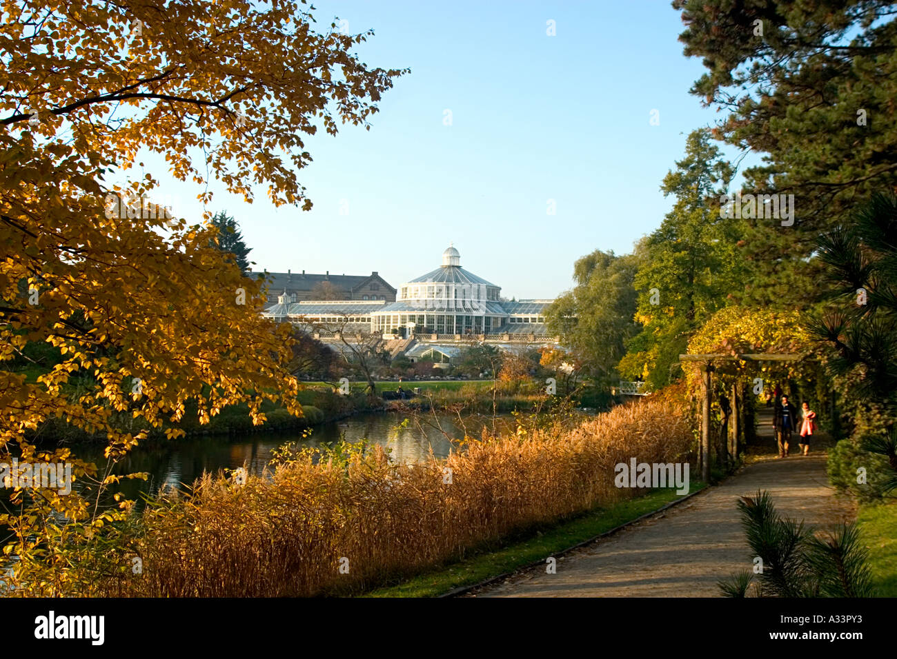 Autumn in The Botanical Garden Copenhagen Denmark Stock Photo - Alamy