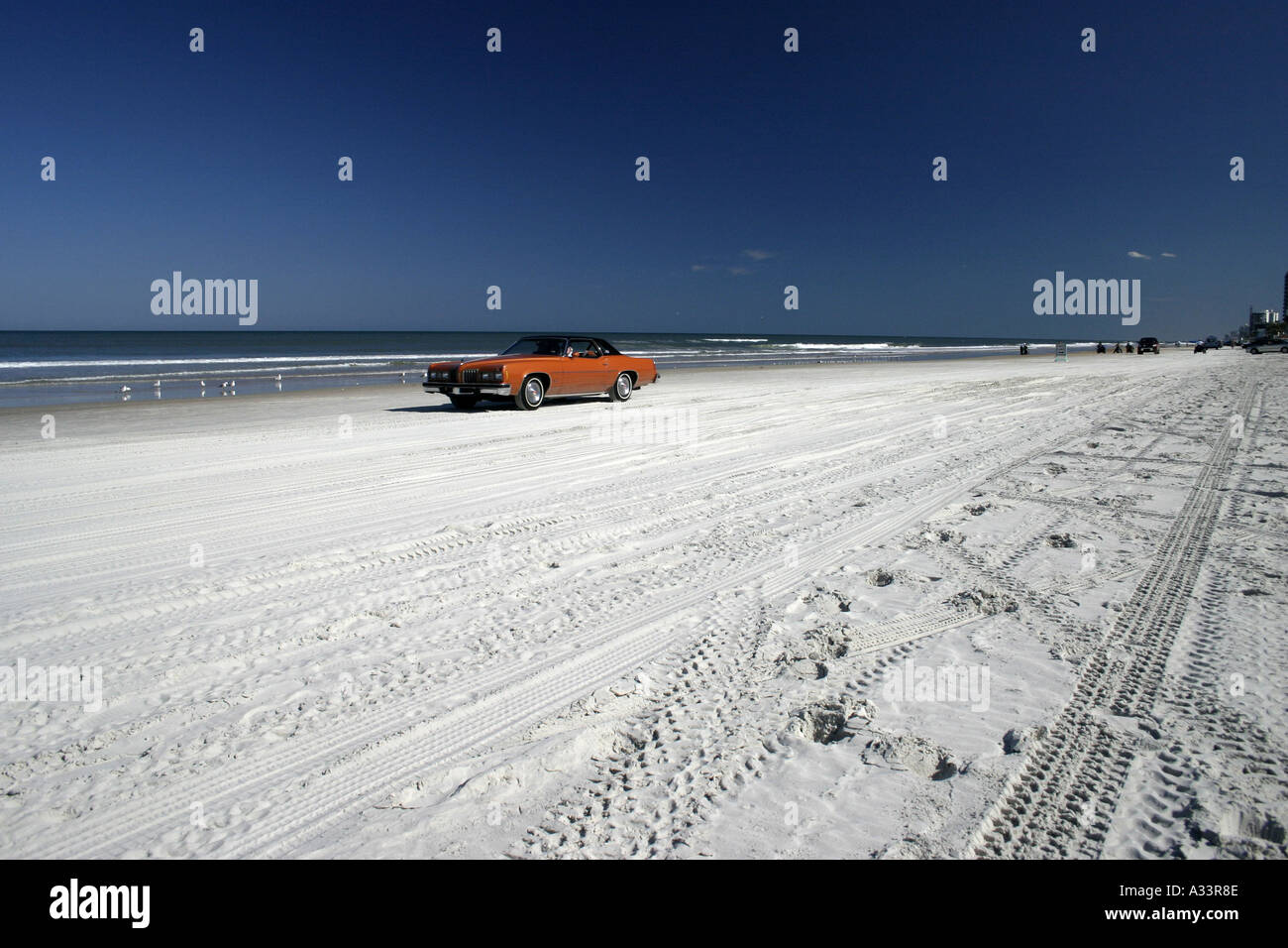 Daytona Beach Auto