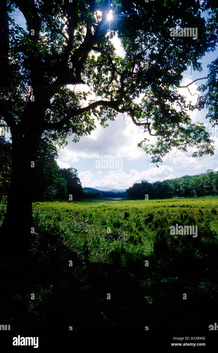 PERIYAR TIGER RESERVE THEKKADY KERALA Stock Photo - Alamy